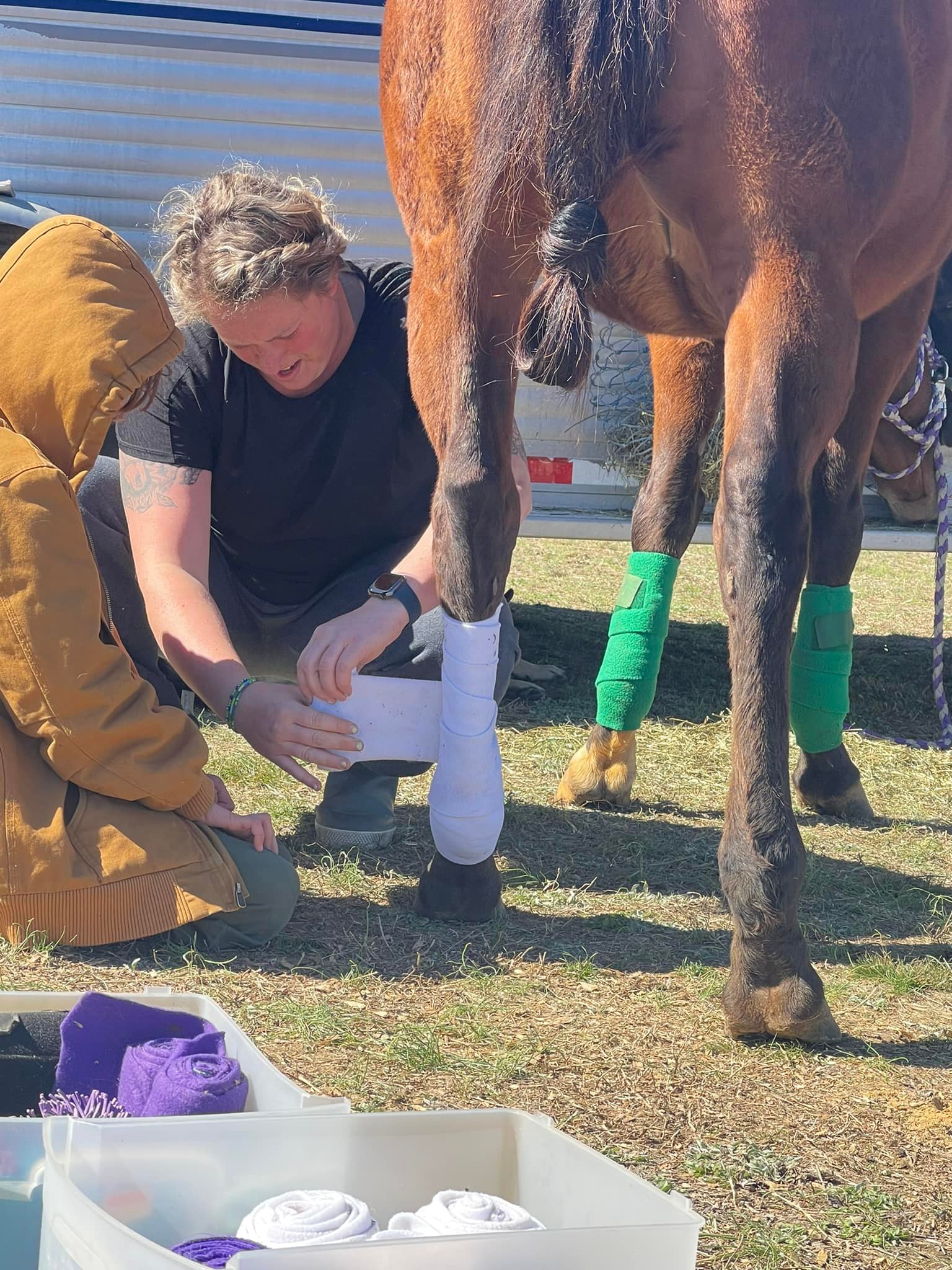 Ashley – Pelham Plantation